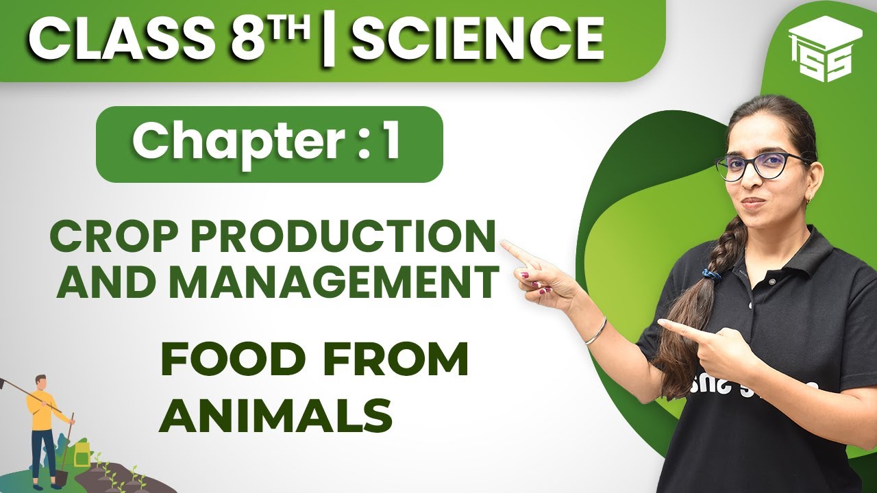 Food From Animals Class 8 - Crop Production and Management | Class 8 ...