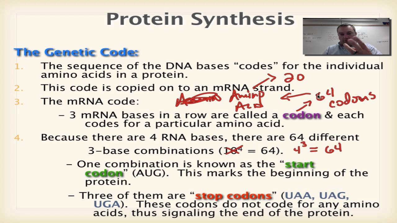 Chapter 13 Part 4 - The Genetic Code - YouTube