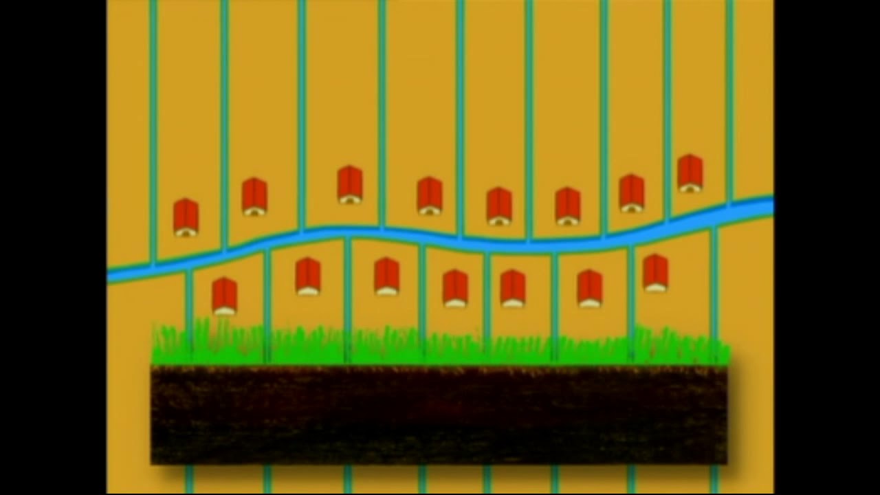 inklinking veen - YouTube