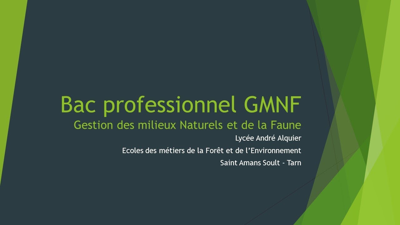 Bac pro gmnf - YouTube
