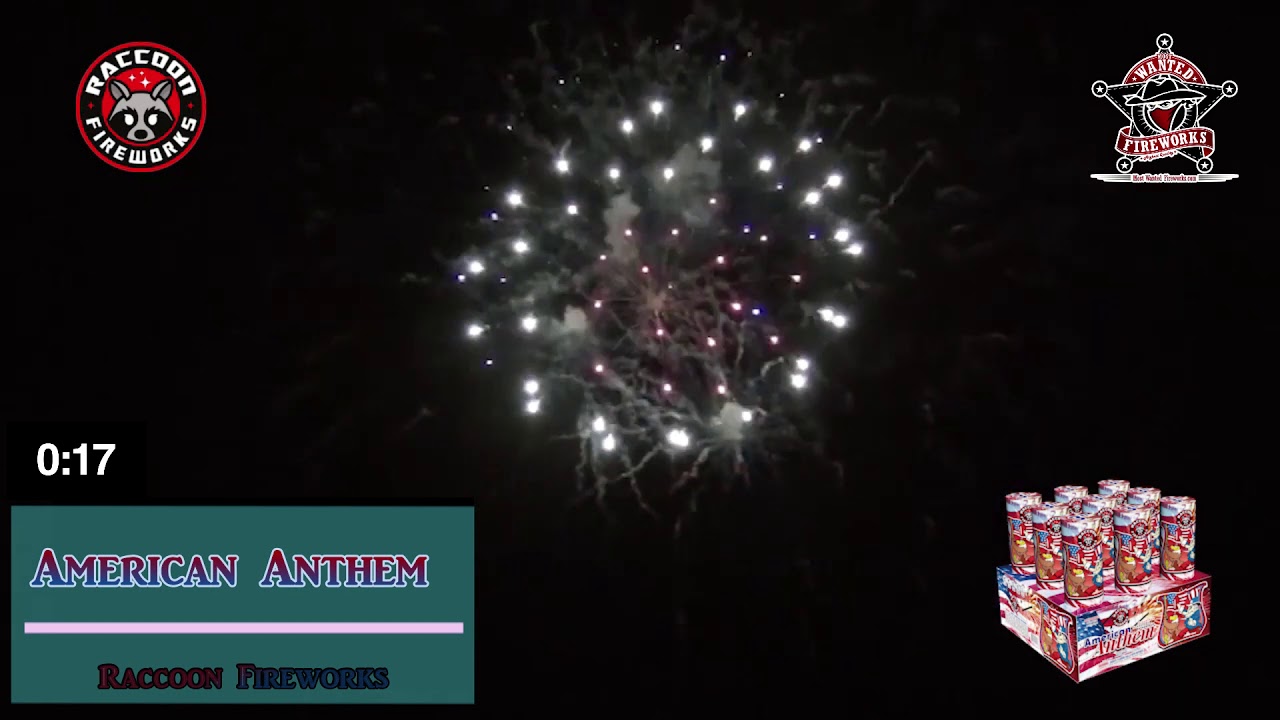 American Anthem by Raccoon - Most Wanted Fireworks - YouTube