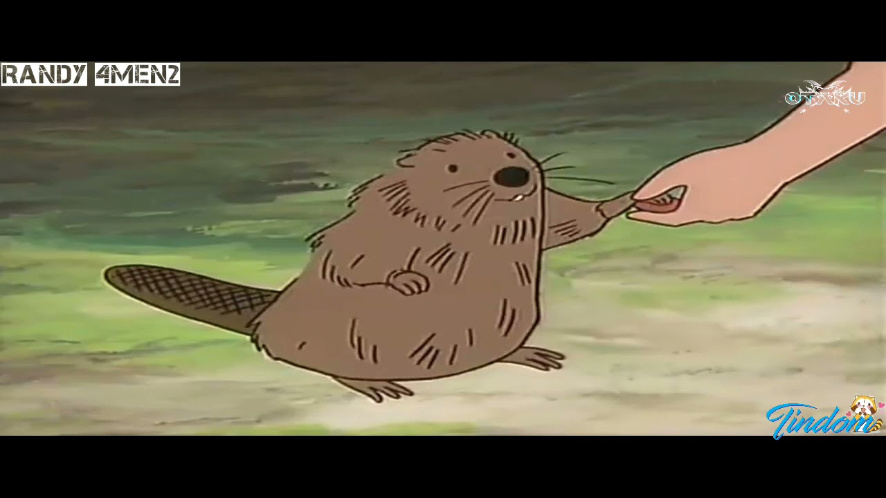 Rascal The Raccoon Episode 22 Tagalog Dubbed - YouTube