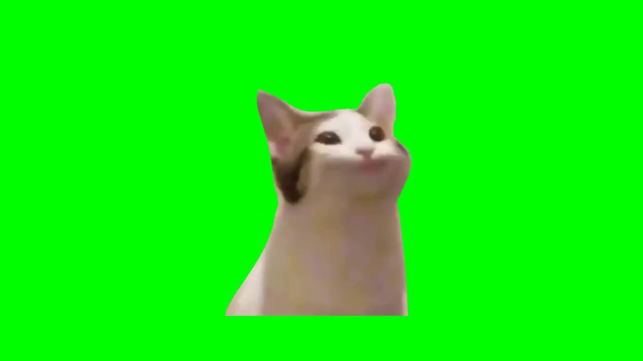 GREEN SCREEN KUCING POP POP | green screen Indonesia - YouTube