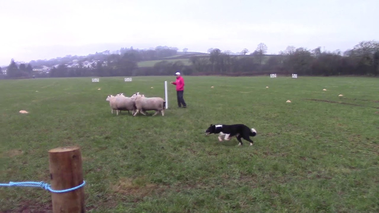 Angie and Aron SWNF 2017 - YouTube