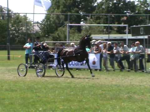 hackney lady joyce - YouTube