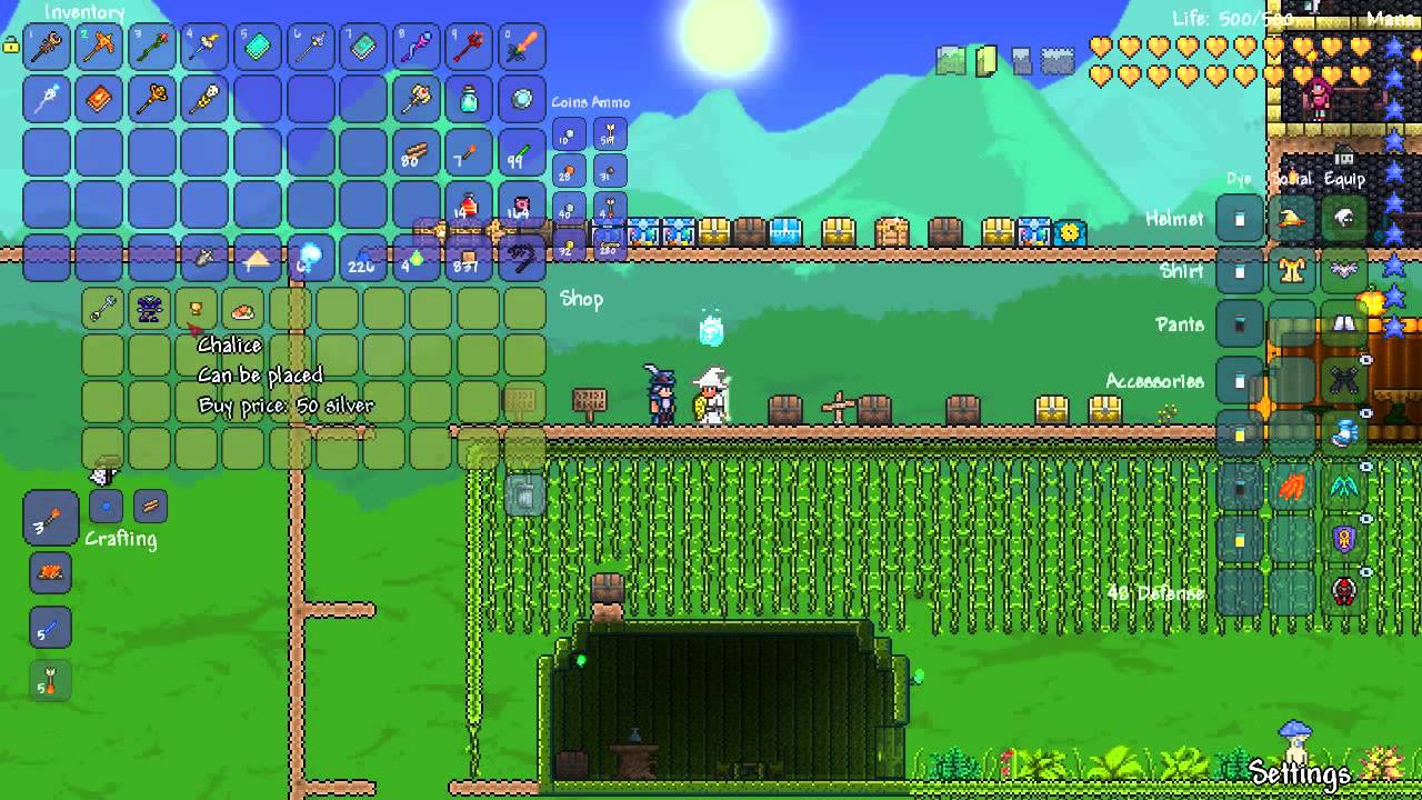 Terraria NPC Guide: Traveller Merchant - YouTube