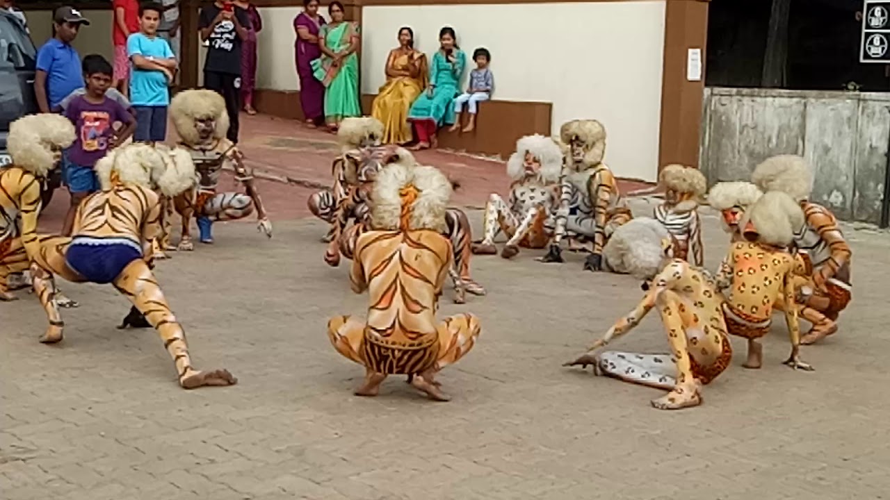 Garadi tiger dance 2019 - YouTube