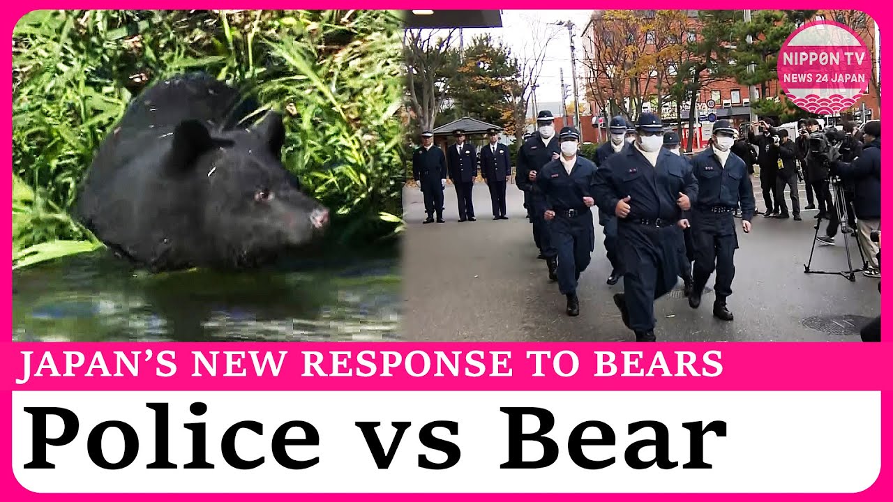 Japan expands response to bears by allowing police to shoot them - YouTube