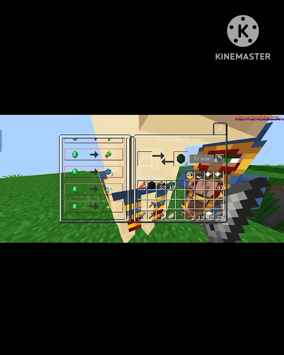 Minecraft pe best trade with wandering trader I have ever seen - YouTube