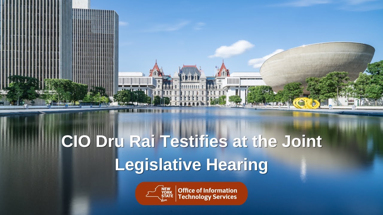 CIO Dru Rai Testifies at the Joint Legislative Hearing - YouTube