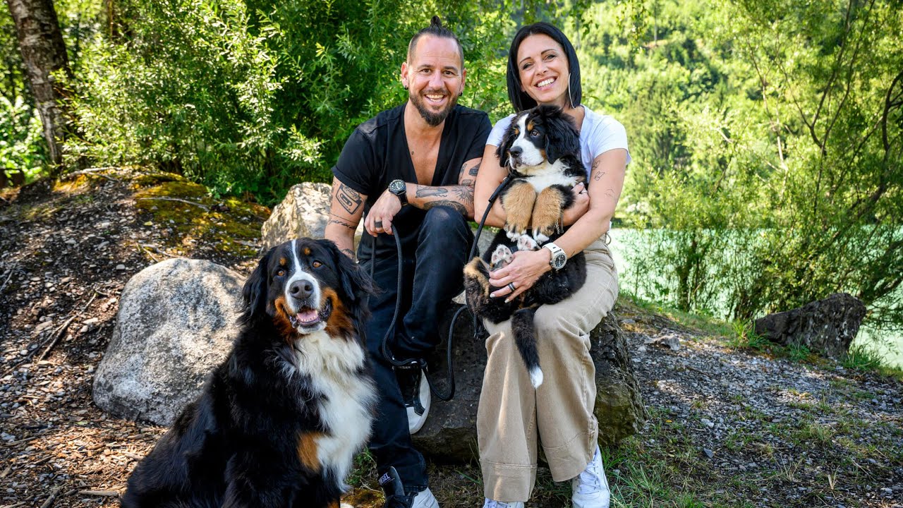«Tierisch prominent» mit Brigitte & Marc Trauffer: «Meine Hunde zwingen ...
