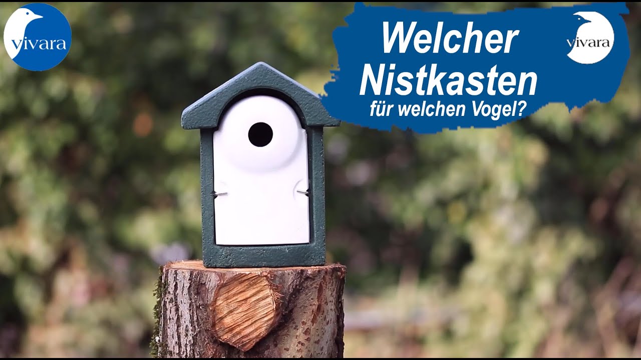 Spannende Welcher Nistkasten Fur Welchen Vogel Bild