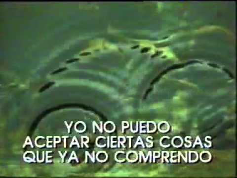 Roberto Carlos El Progreso video - YouTube