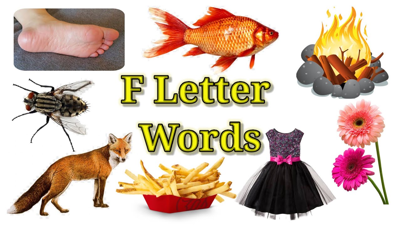 Learn English | F letter words with picture | F Letter Words | F letter ...