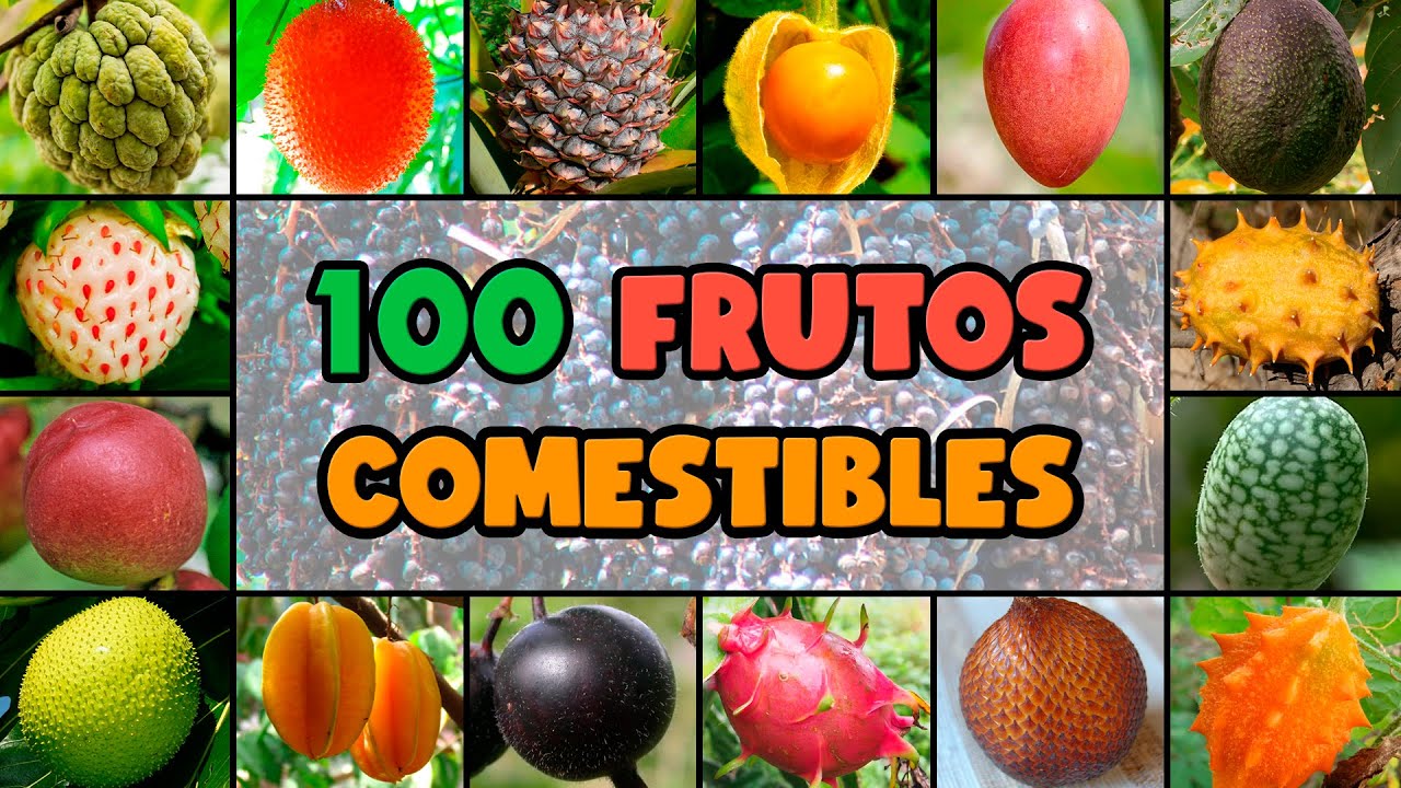 100 ESPECIES de FRUTAS COMESTIBLES - YouTube