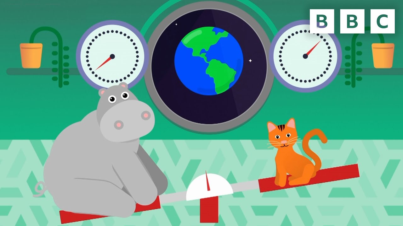 Science for Kids - Get Set Galactic | CBeebies - YouTube