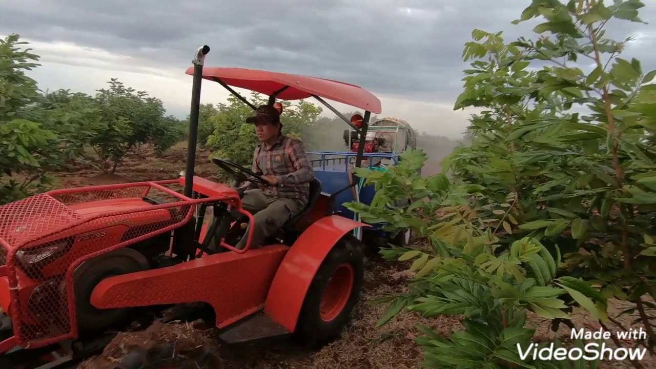 បាញ់ថ្នាំនៅចំការមៀន Sprayingon Mien Farm - YouTube