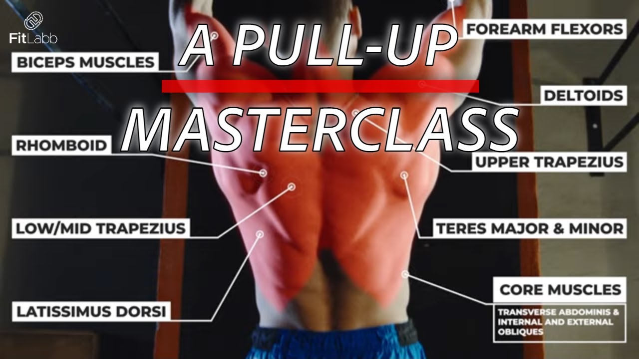 DO THIS FOR SAFE AND EFFECTIVE PULL-UP GAINS | The science behind ...