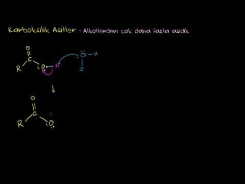 Karboksilik Asitler Hakkında Temel Bilgiler (Organik Kimya)