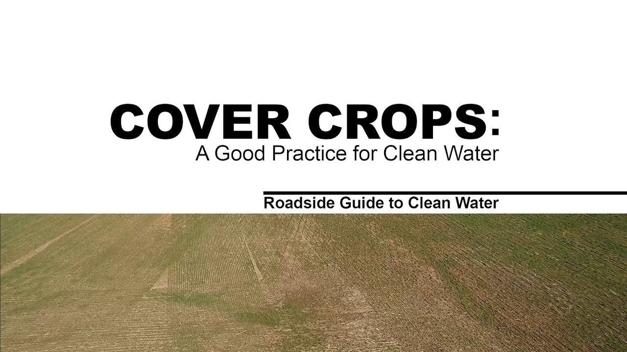 Cover Crops: A Good Practice for Clean Water - YouTube