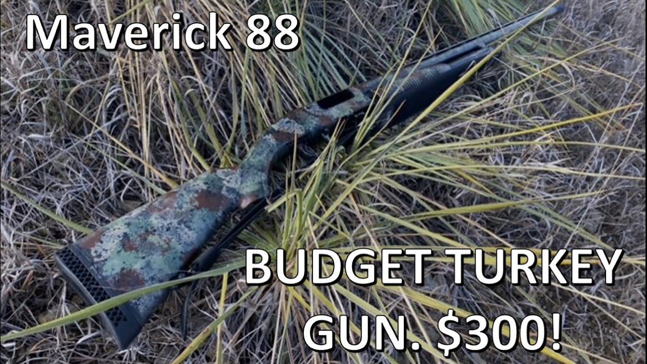 Maverick 88 - BUDGET TURKEY SETUP - YouTube