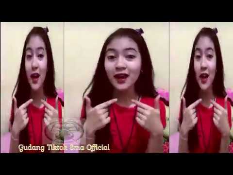 BIKIN HALU, SAMPAI KE DALAM-DALAM  mantul3 GOYANG SAMPE GESEK GESEK DI TIKTOK 2019 PART 28