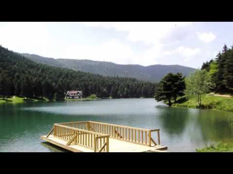 Bolu Çiftetellisi YENİ