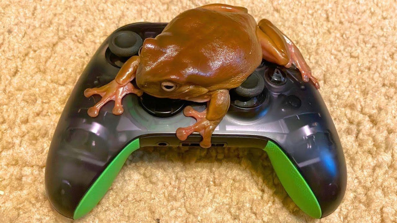 How To Take A Frog Off a Xbox Controller 3 - YouTube