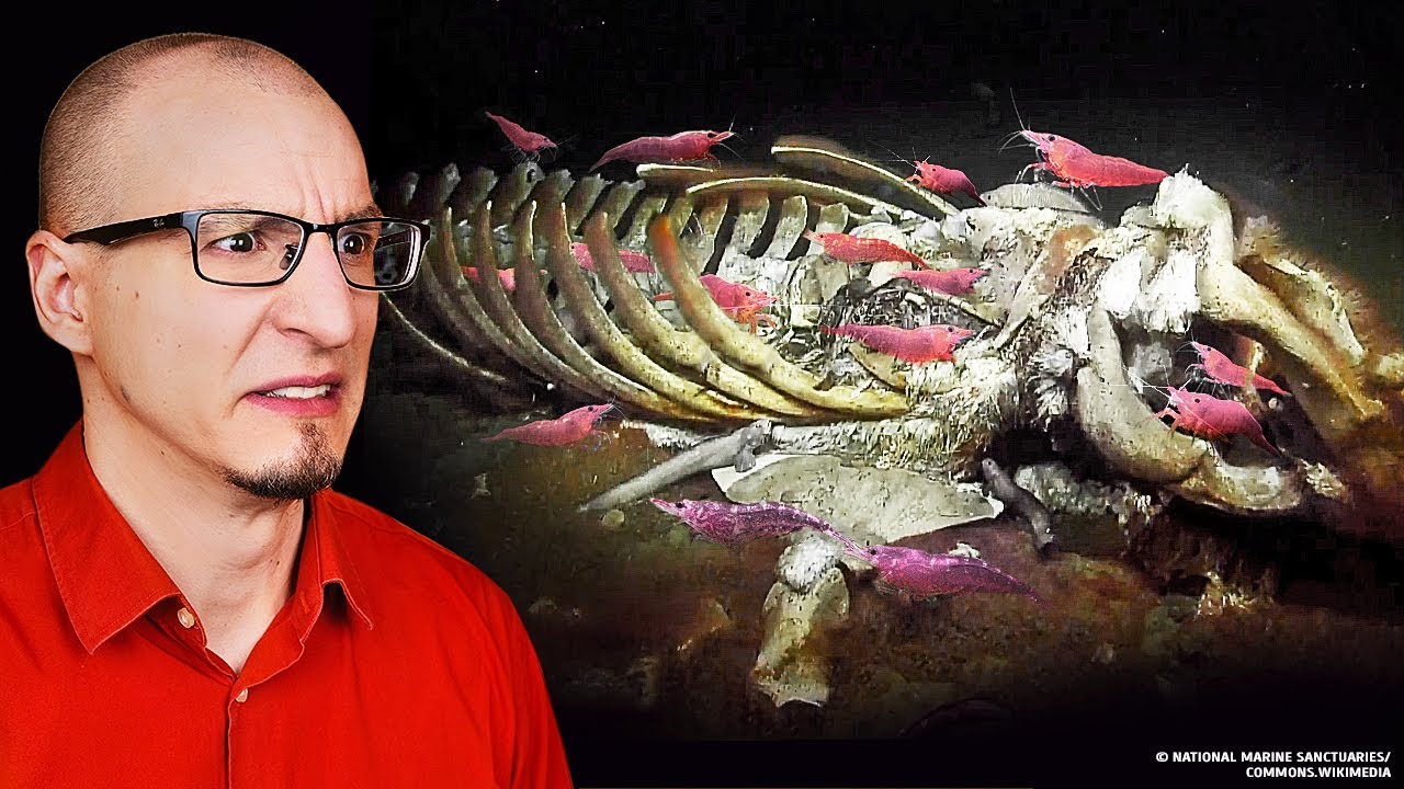 12 Terrifying Creatures That Call Volcanoes Home - YouTube