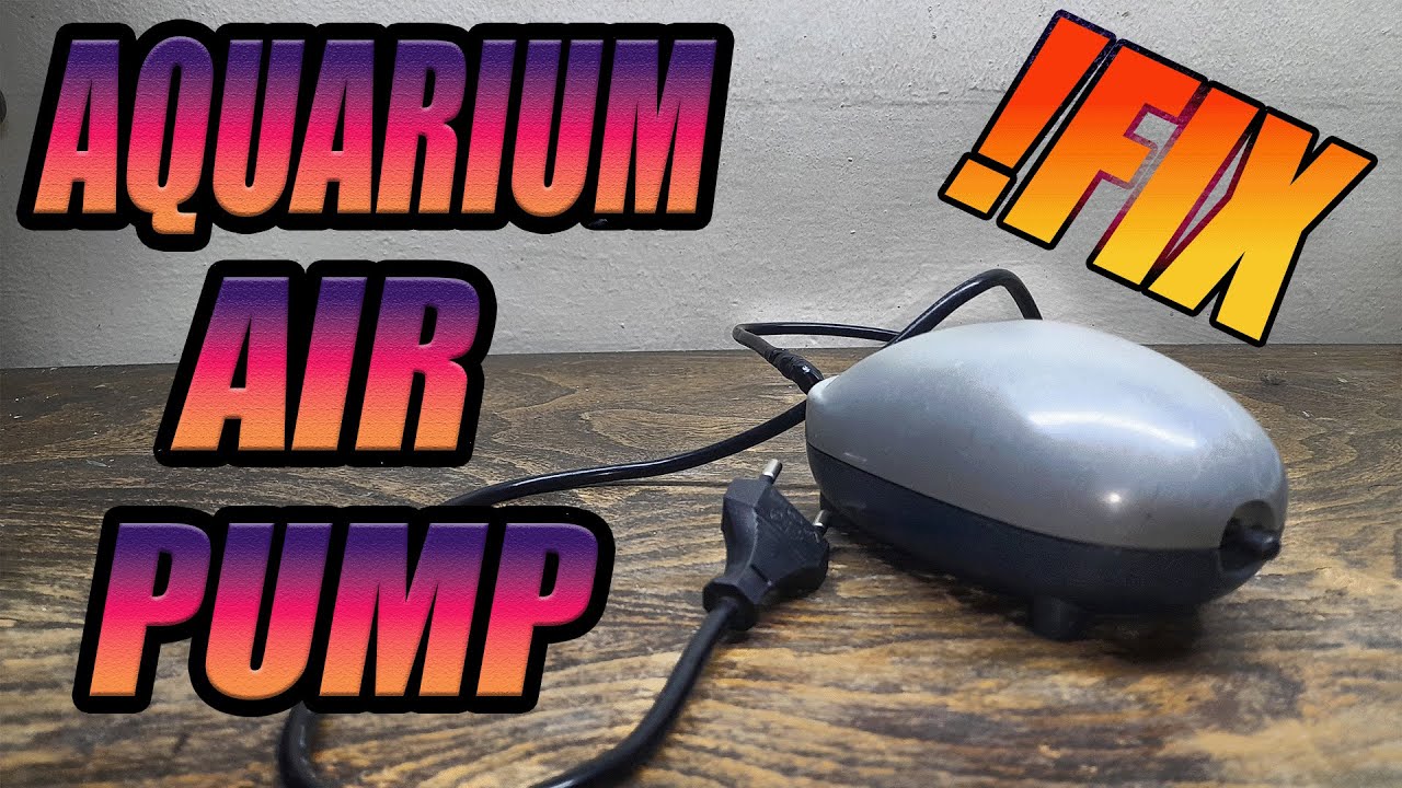 🛠Aquarium air pump repair🛠 - YouTube