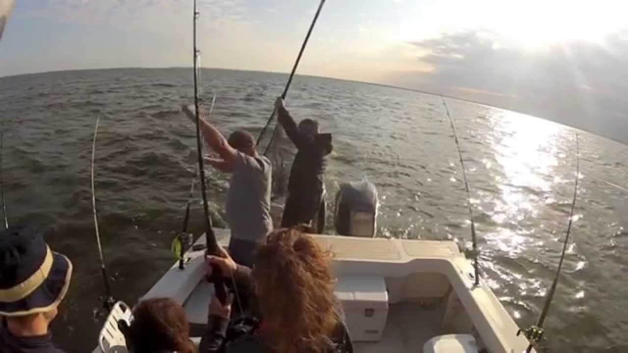 2013 Dominos Spring Trophy Striper Fishing - YouTube