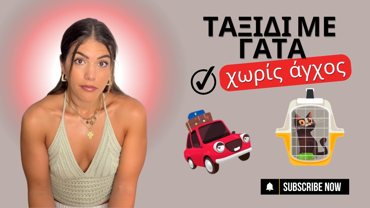 Ταξίδι με γάτα; Δες όλα όσα ΠΡΕΠΕΙ να ξέρεις! - YouTube