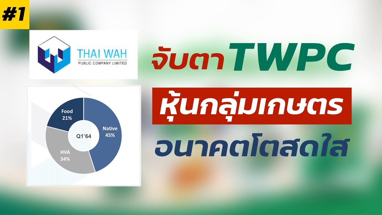 จับตา TWPC หุ้นกลุ่มเกษตร อนาคตโตสดใส #หุ้นเติบโต - YouTube
