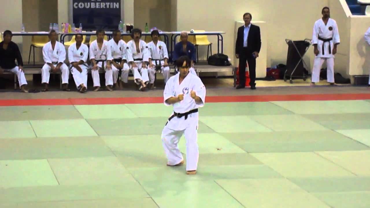 Karate Wado Ryu Démonstration de Sensei Kazutaka Otsuka en 2011 France ...