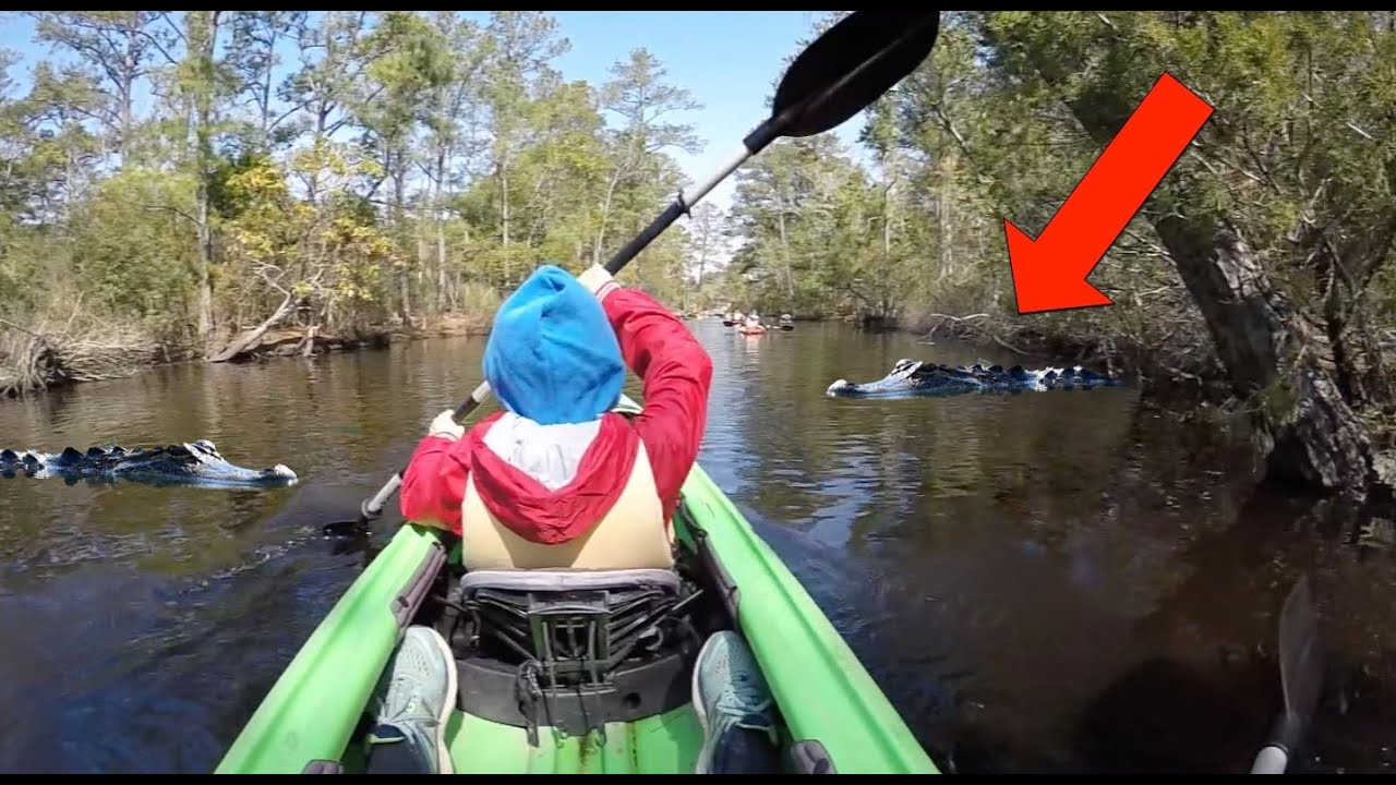 Kayaking in the Outer Banks Maritime Forest | DID I FALL IN? - YouTube