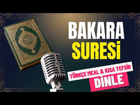 Bakara Suresi Meali (2. Sure) | Türkçe Anlamı ve Kısa Tefsiri