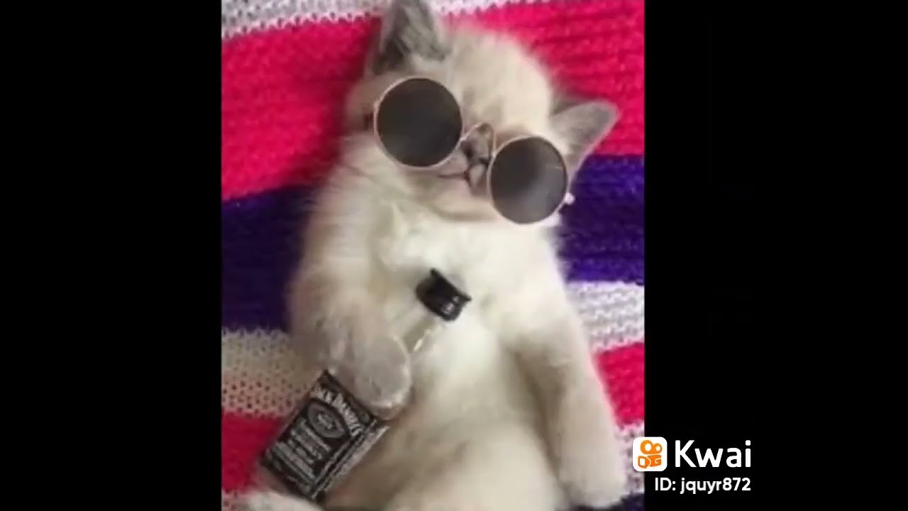 cara fachera facherita😎😎😎 - YouTube