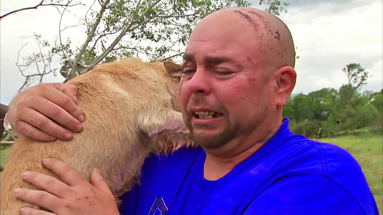 Most Emotional Animals Reunited With Owners After Years! Animal Reunion ...