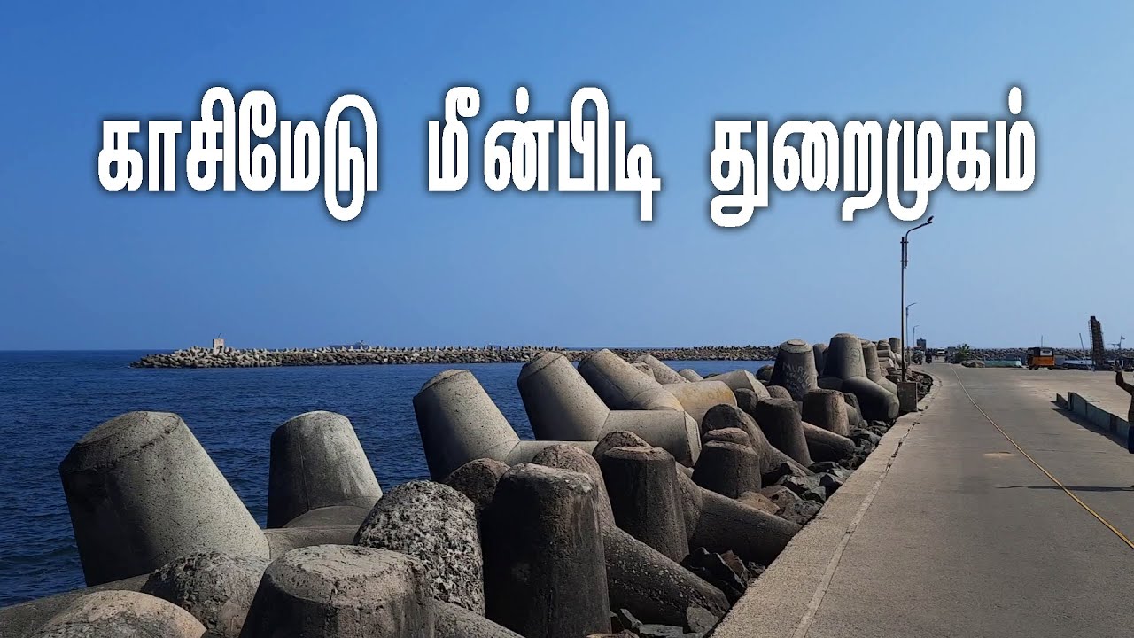Kasimedu Fish market|N4 Beach Kasimedu Fishing Harbour |Chennai Biggest ...