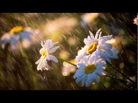 Lea Laven ♥ Loppumaan Ken Sateen Saisi (Who'll Stop The Rain) - YouTube