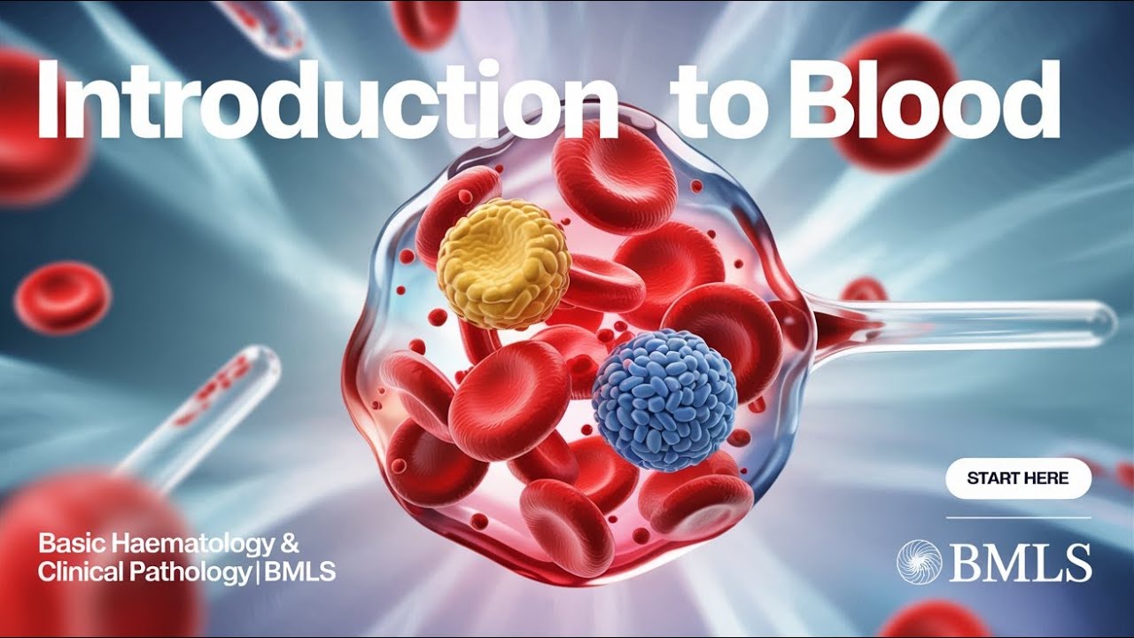 Introduction To Blood | RBC | WBC | Platelets | Basic Haematology ...