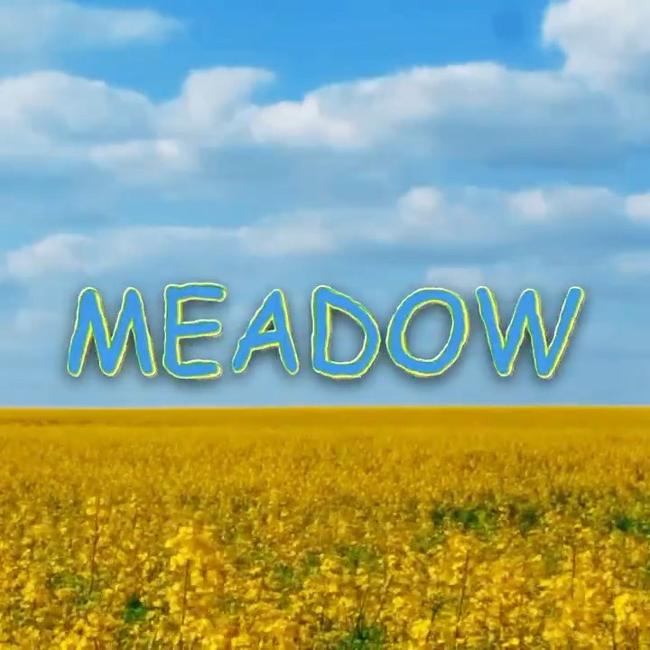 Meadow - YouTube