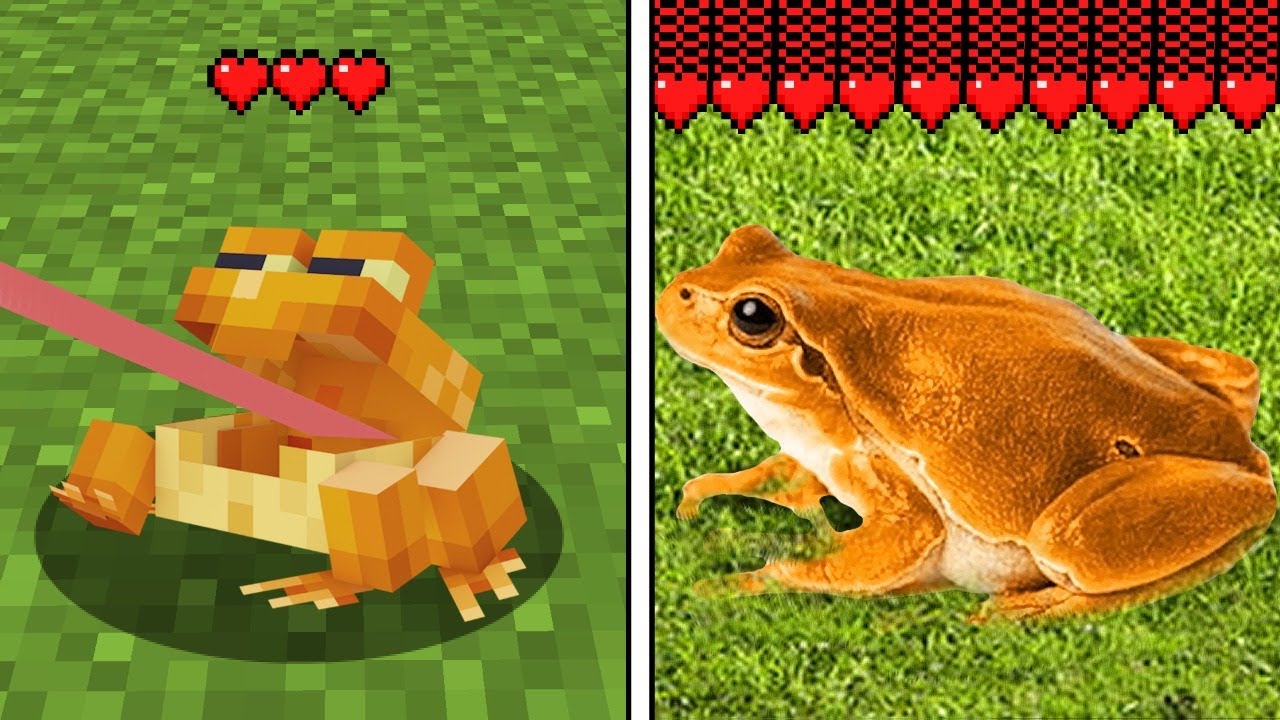 MINECRAFT VAI FICANDO MAIS REALISTA A CADA CORAÇÃO - YouTube