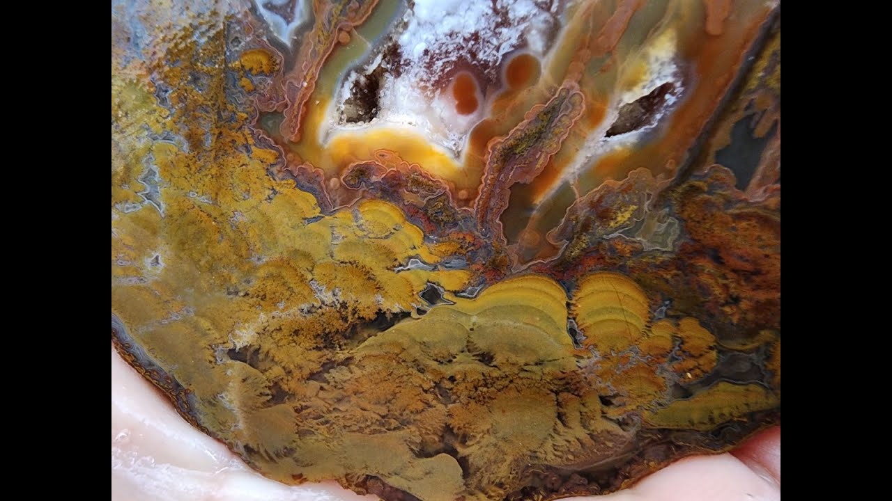 Rough Rocks - Agatized Stromatolite fossil - YouTube