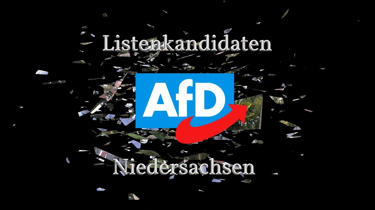 AfD Niedersachsen - Listenkandidat 2 – Frank Rinck - YouTube