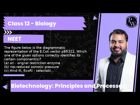 The figure below is the diagrammatic representation of the E.Coli vector pBR322. Which one of the...