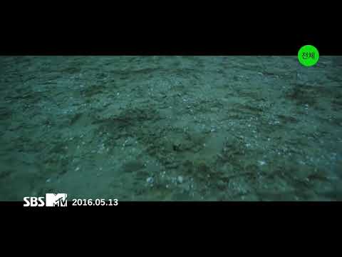 (Bangtan boys) BTS saw me