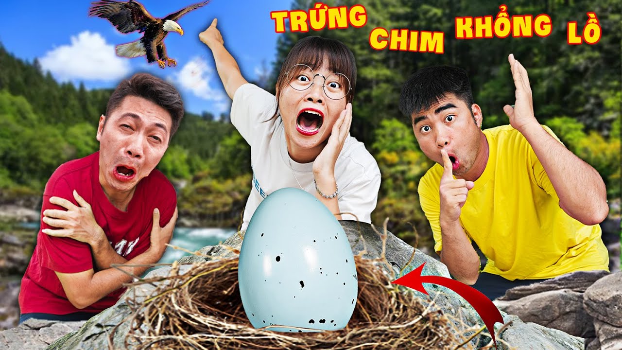 Hà Sam Thử Thách Truy Tìm Trứng Chim Khổng Lồ Trong Rừng Sâu - Anh Gấu ...