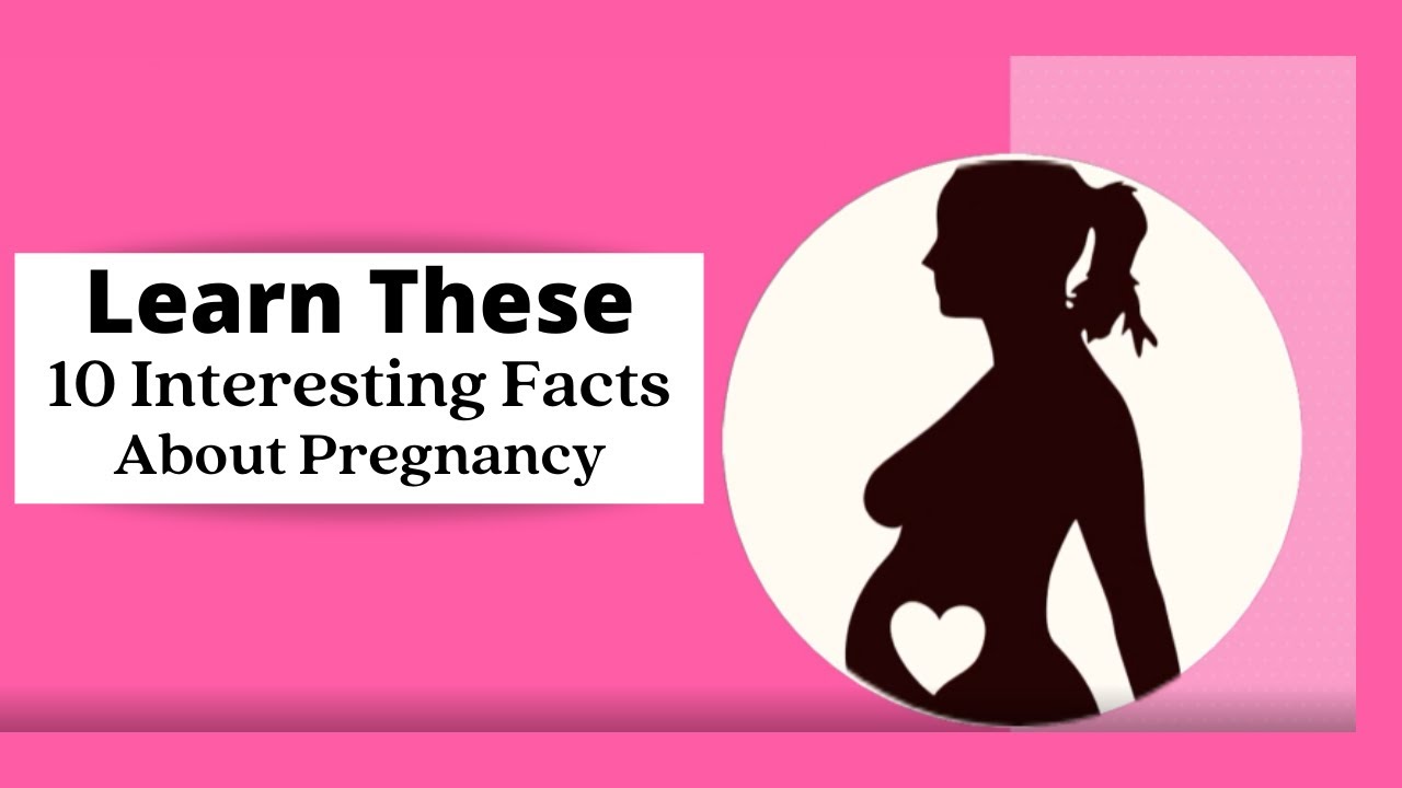 10 Interesting Pregnancy Facts - YouTube