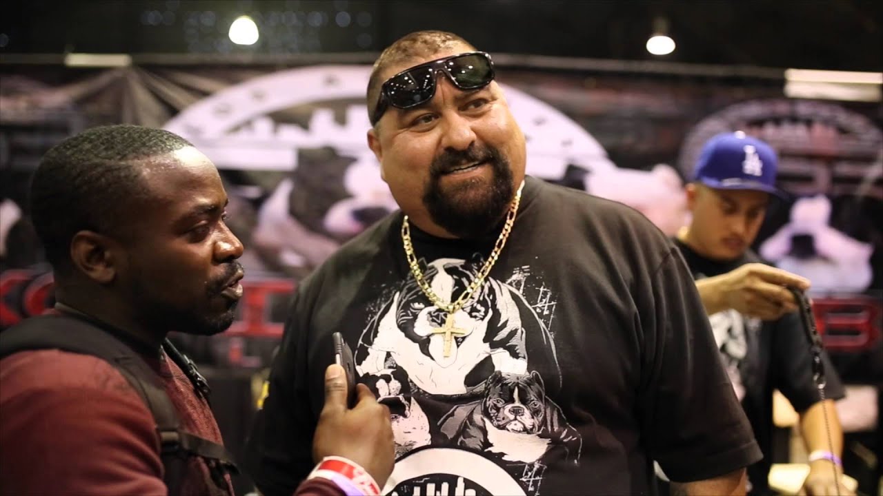 IBR West Coast Bully Expo (Dog show) - YouTube